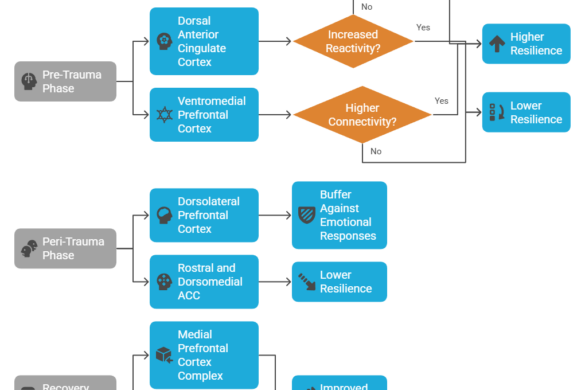 Understanding Functional Neurological Disorder (FND): A Comprehensive ...