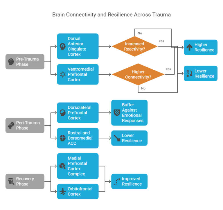 Brain Connectivity and Resilience Across Trauma: A Neurobiological Map ...